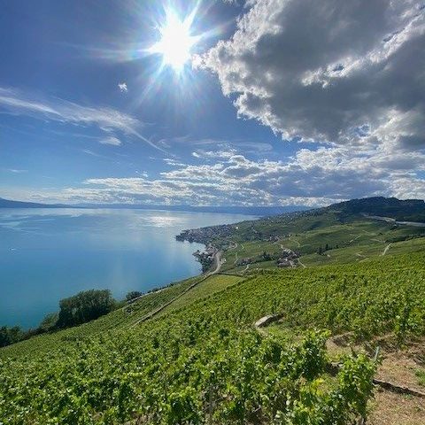 Lavaux vineyard tour - Swiss Private Tours