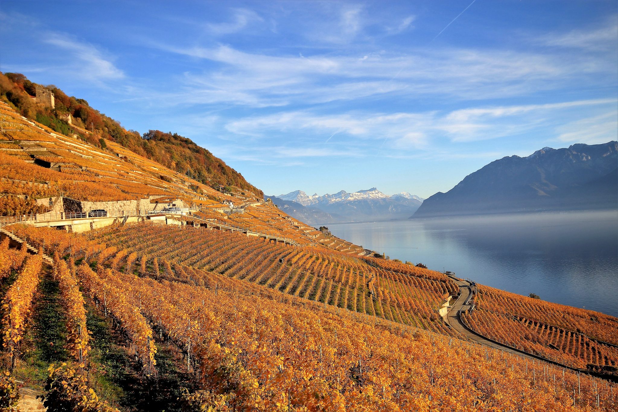 Lavaux vineyard tour - Swiss Private Tours